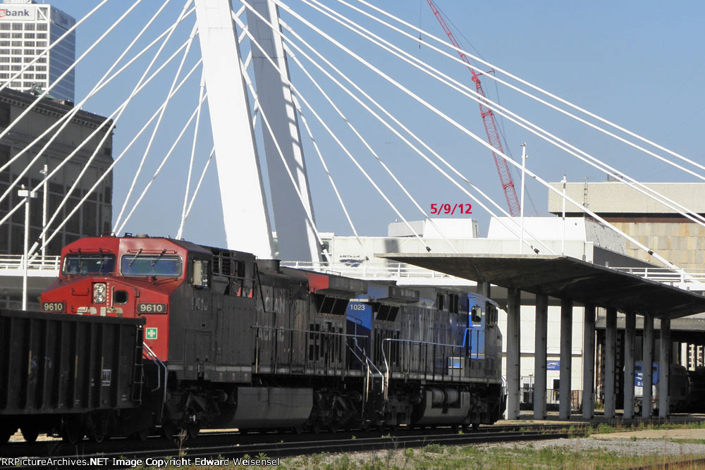 Mr. Bluebird & Beaver - meet Hiawatha